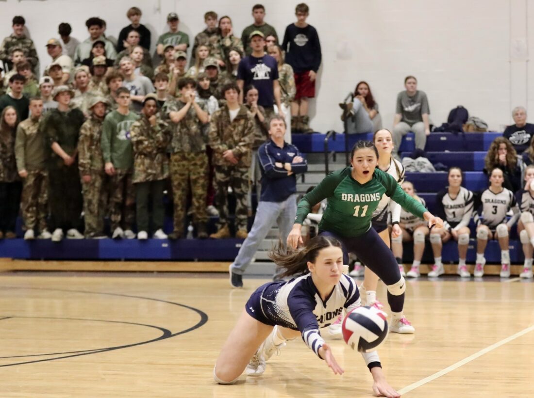 Dragons eliminated by North Catholic 3-1 | News, Sports, Jobs - Times ...